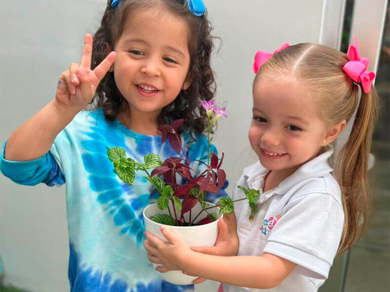 Trees Study - Conoce mi mundo